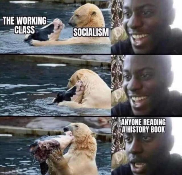 MEMES – Plainfield Township Republican Organization